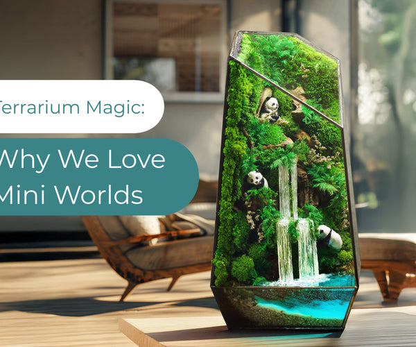 Terrarium Magic: Why We Love Mini Worlds | Magic Gardens